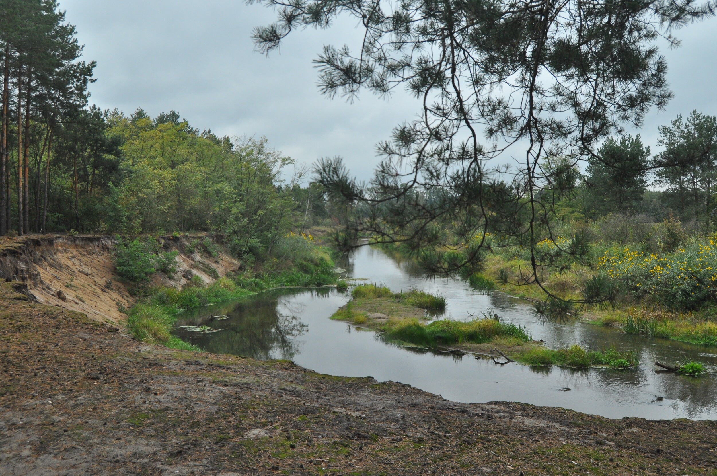 Spływy kajakowe. Spływ Liwcem. Informacje, opis trasy, zdjęcia ...