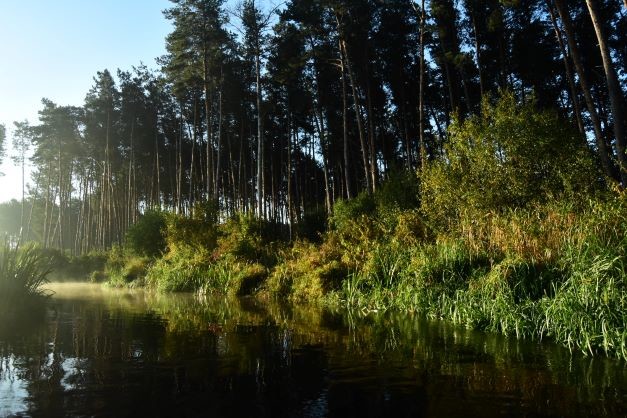 Spływy kajakowe. Spływ Liwcem. Informacje, opis trasy, zdjęcia ...