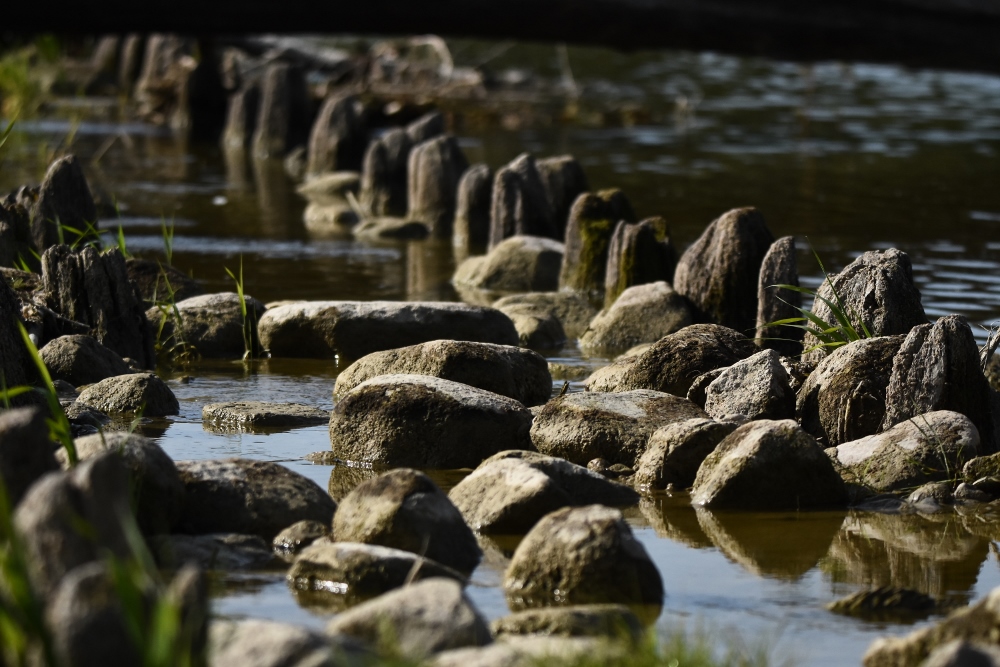 Spływy kajakowe. Spływ Bugiem. Informacje, opis trasy, zdjęcia ...